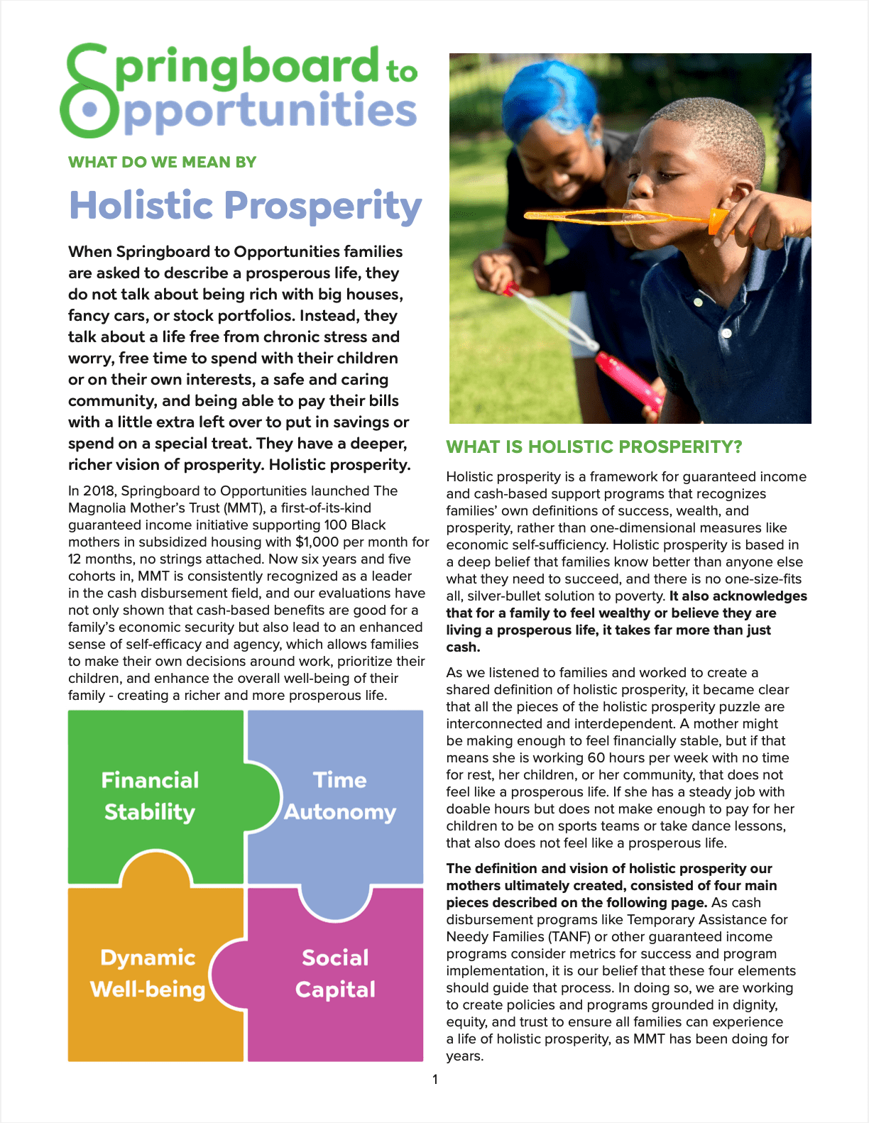 What Do We Mean By Holistic Prosperity? | Springboard to Opportunities